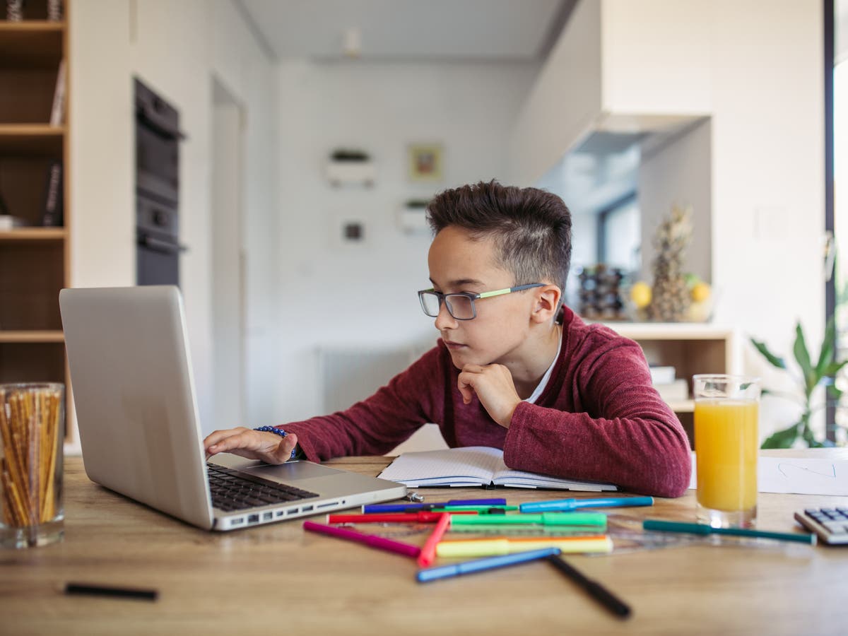 How to access BBC Bitesize daily online lessons for children | The ...