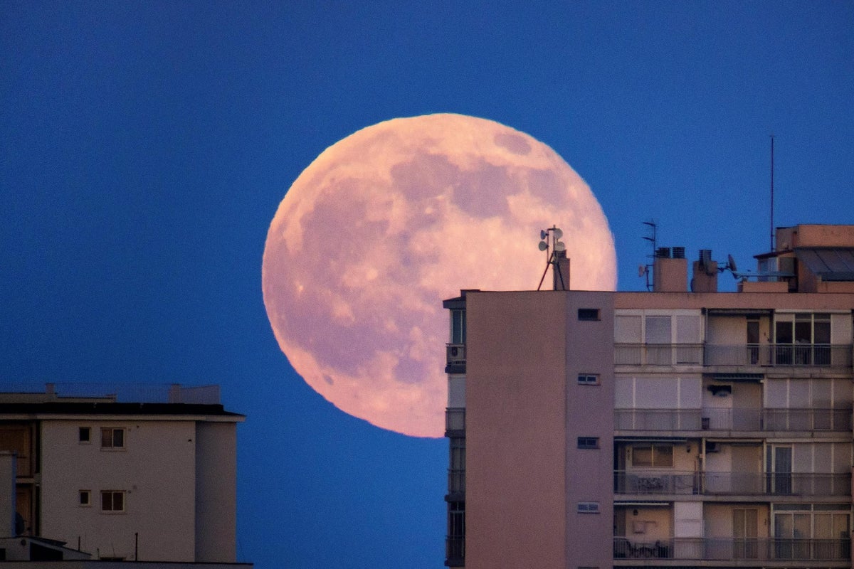 Pink supermoon: How to watch the biggest and brightest full moon of ...