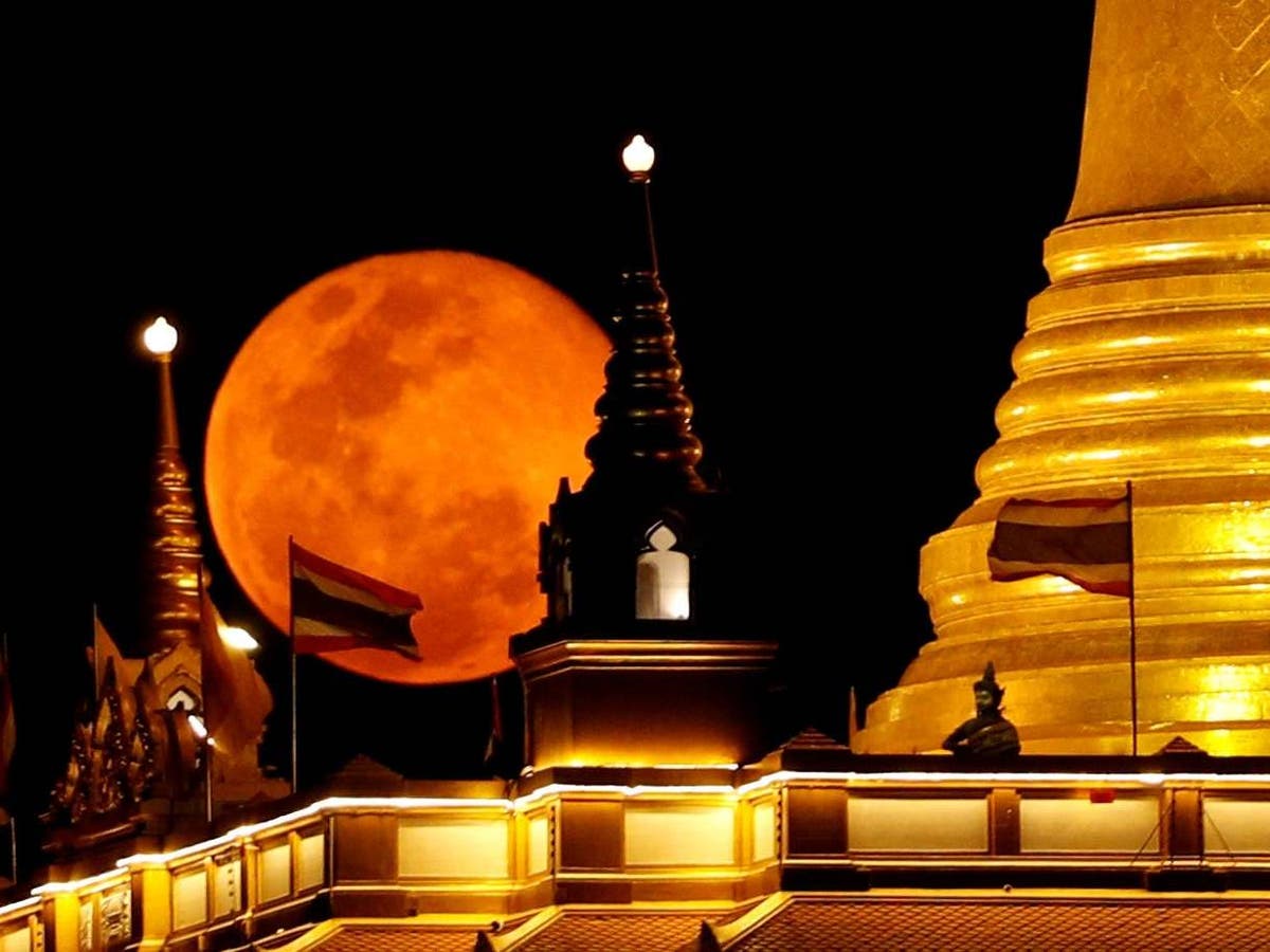 ‘Flower moon’ to arrive tonight, marking final supermoon of 2020 | The ...