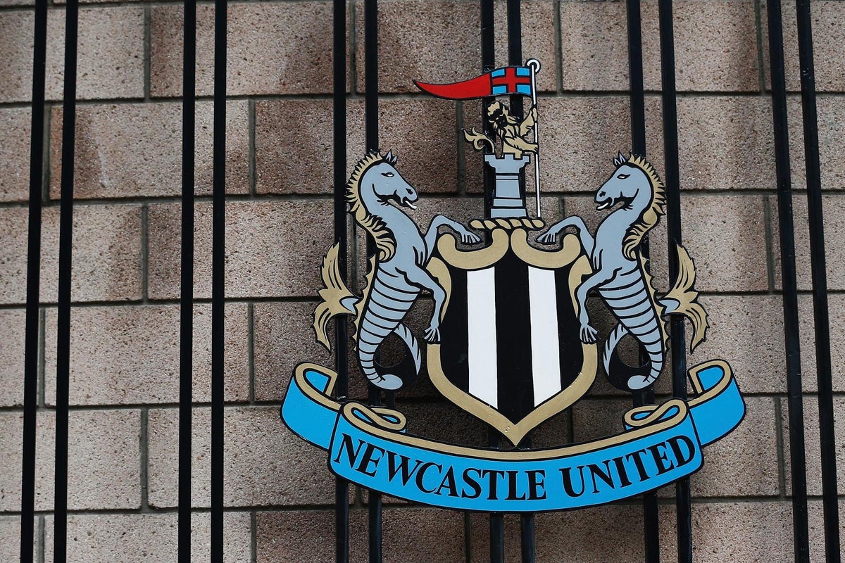 Newcastle takeover: MPs urge UK government to take urgent action ...