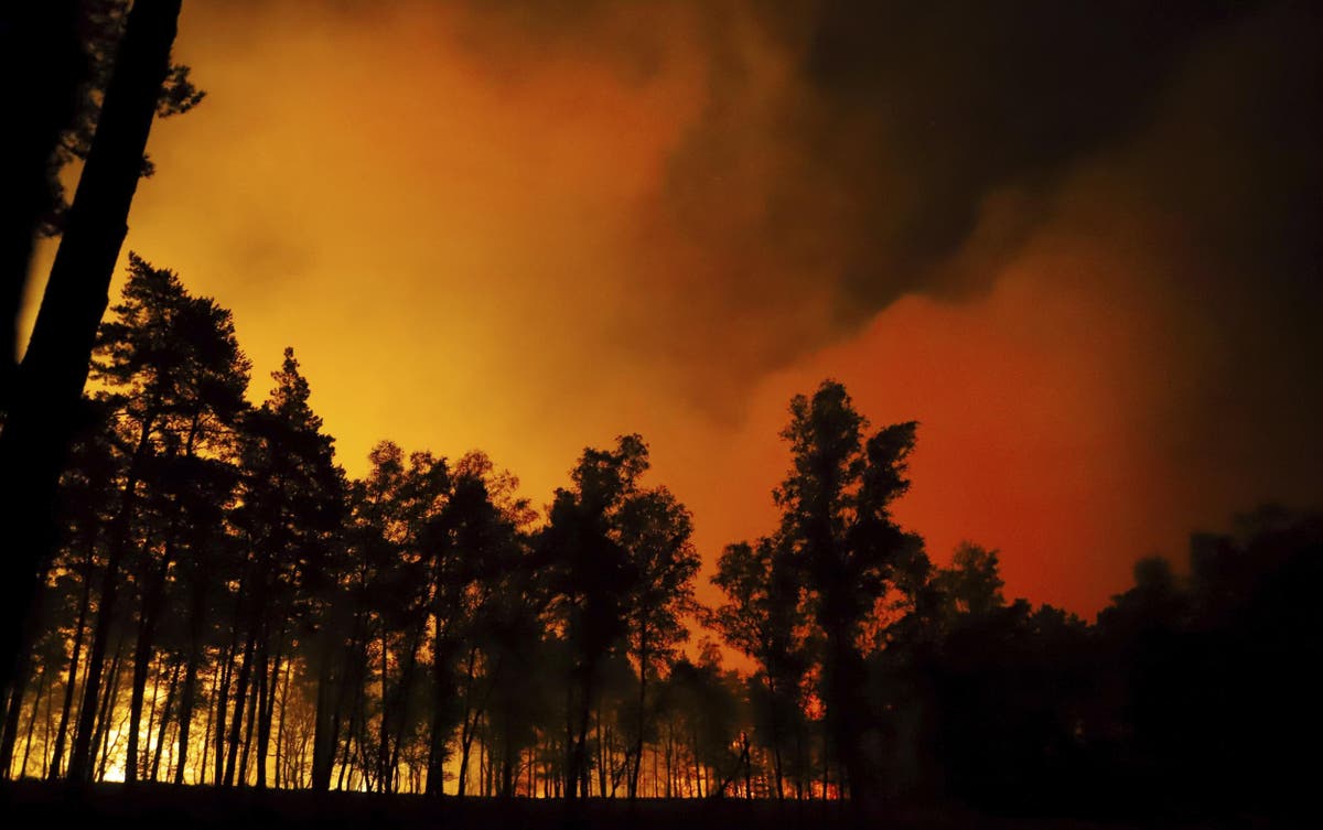 Dutch village of around 4,000 evacuated after forest fire in nearby ...