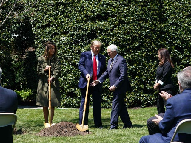 Trump mocked for planting trees on Earth Day amid his continued failure ...