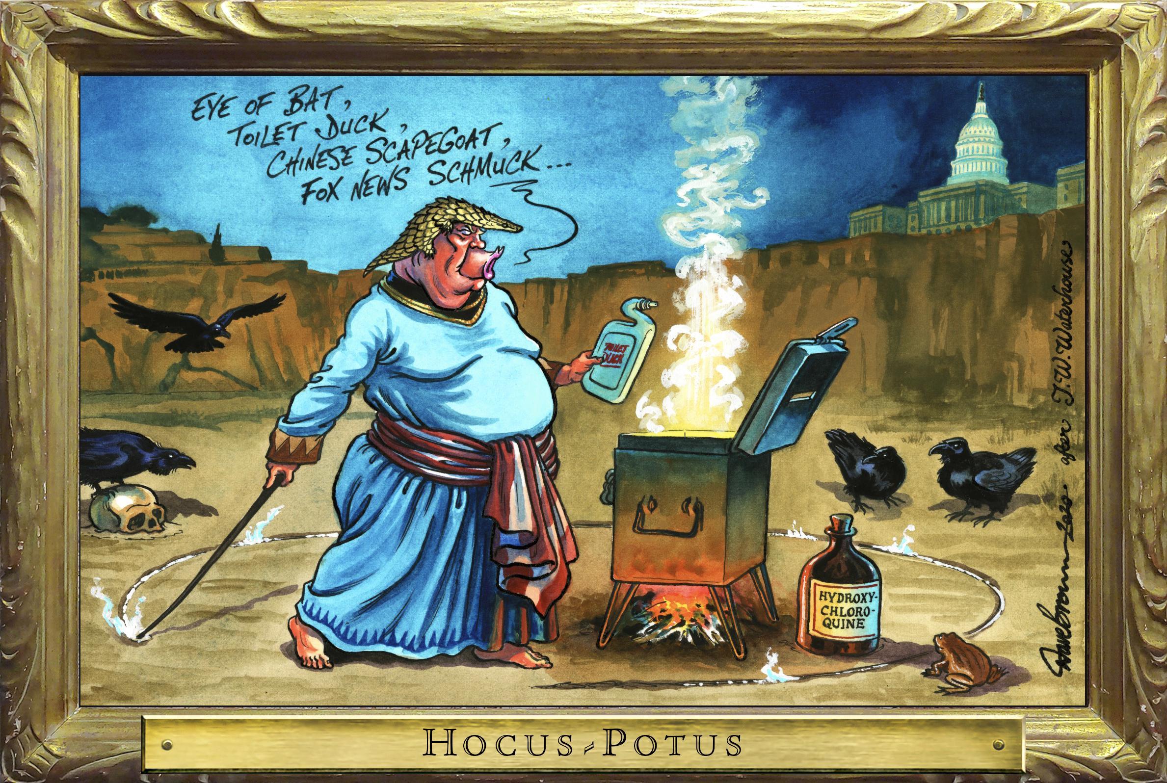 Hocus Potus : r/editorialcartoons