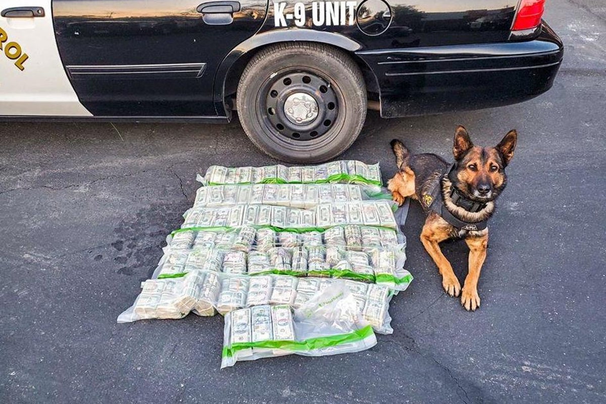 Almost $1 million dropped on side of road during car chase, police say ...