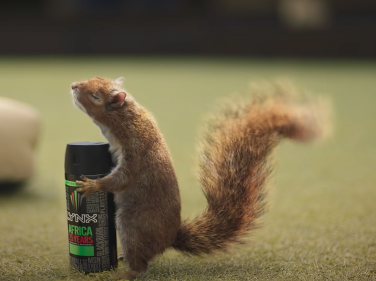 ITV viewers outraged by advert showing squirrel ‘humping’ Lynx Africa ...