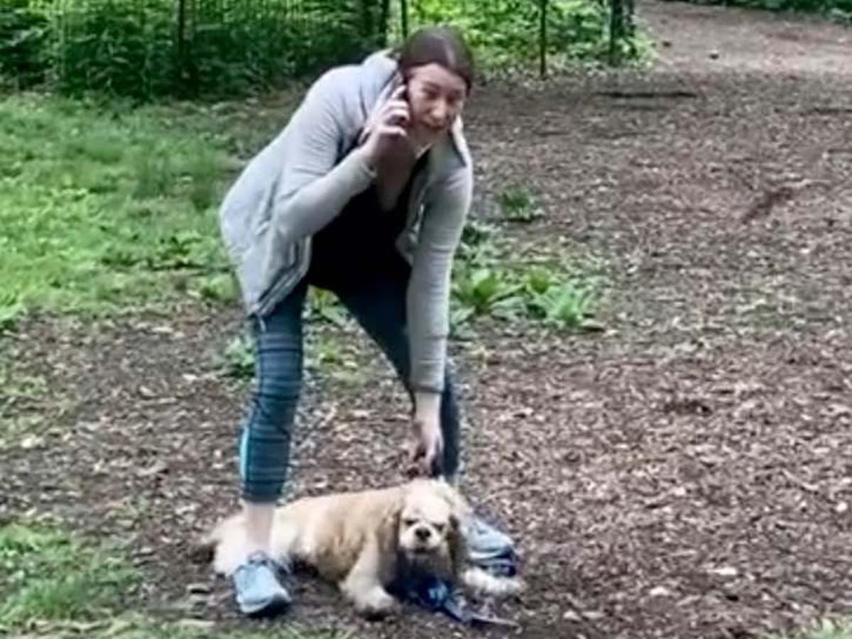 Amy Cooper made a second 911 call when falsely accusing a Black bird ...