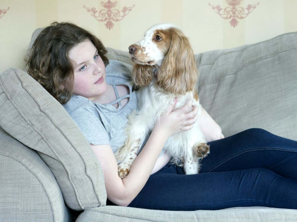 Pets ‘crucial’ to owners’ morale during lockdown, says animal charity ...