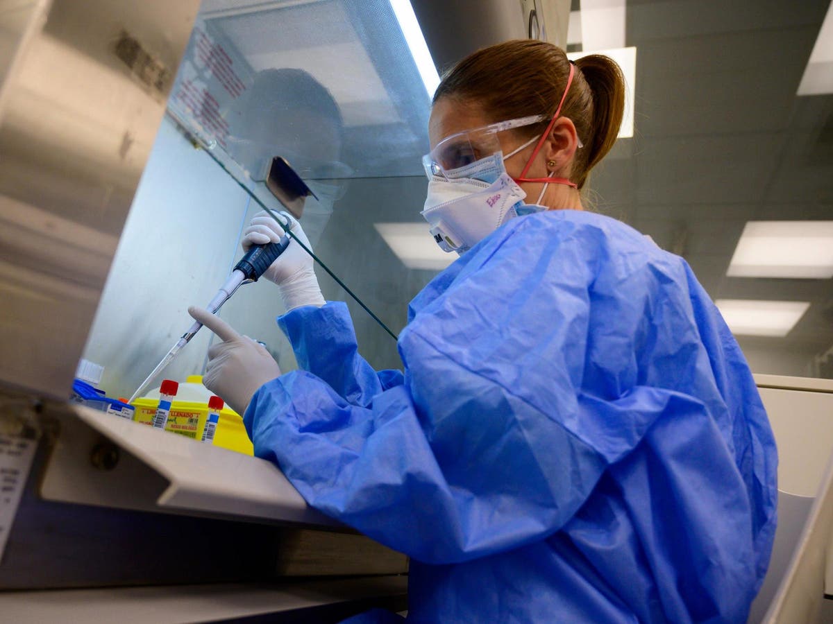 How to make sense of scientific studies about coronavirus | The ...