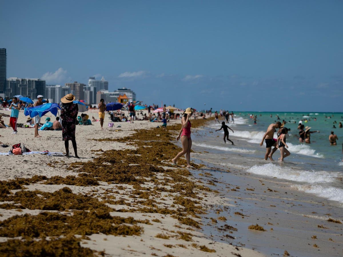 Coronavirus: Florida reports record one-day spike in Covid-19 cases of ...