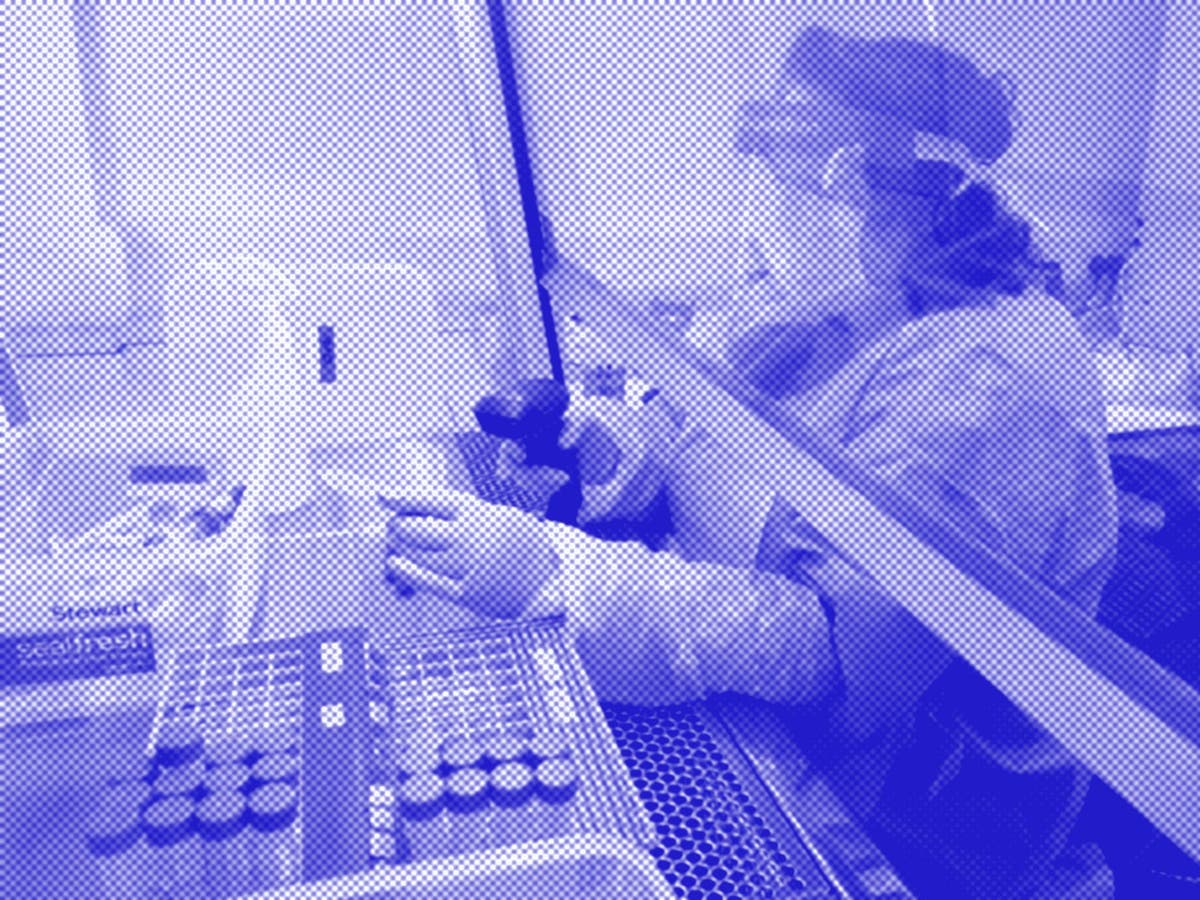 Inside the coronavirus mega-labs | The Independent | The Independent