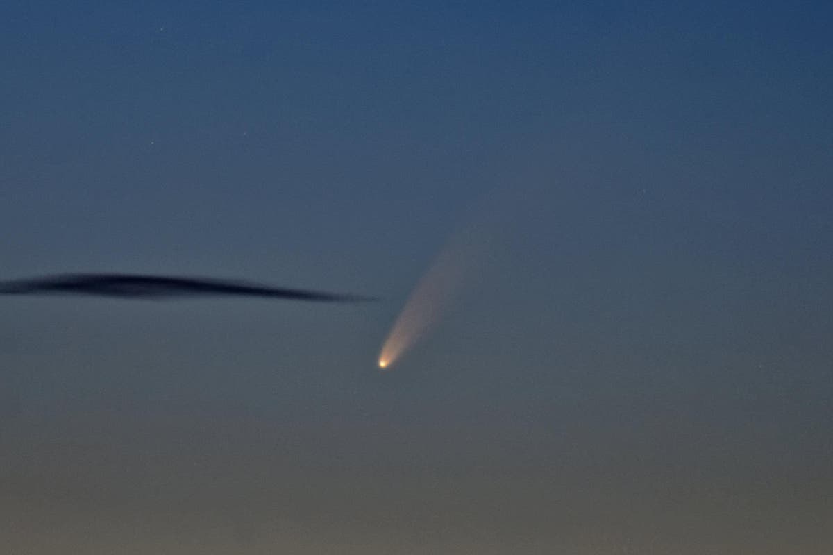 Comet Neowise: How to see blazing comet after surprise appearance means ...