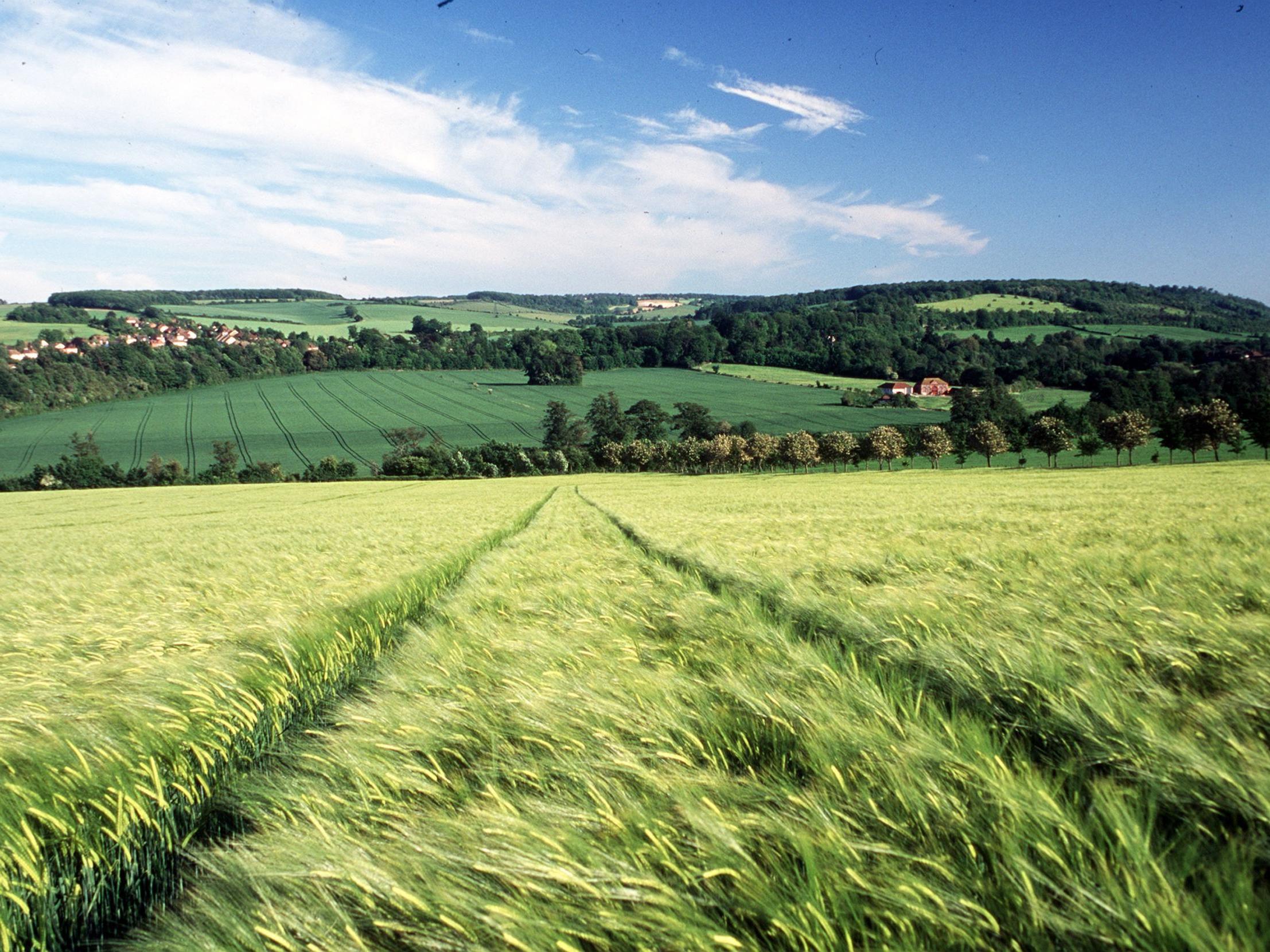 Nearly Two Million Acres Of British Grassland Lost To Urban Development