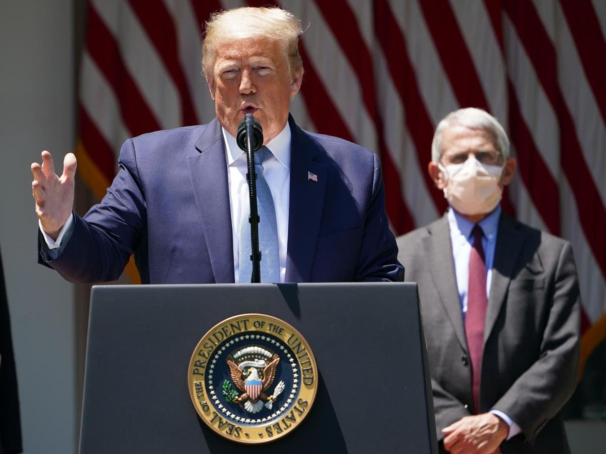 Top aide shares scathing cartoon against Dr Fauci after White House ...