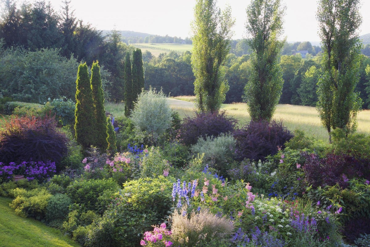 ‘This garden packed with old-fashioned plants feels right’: How to ...