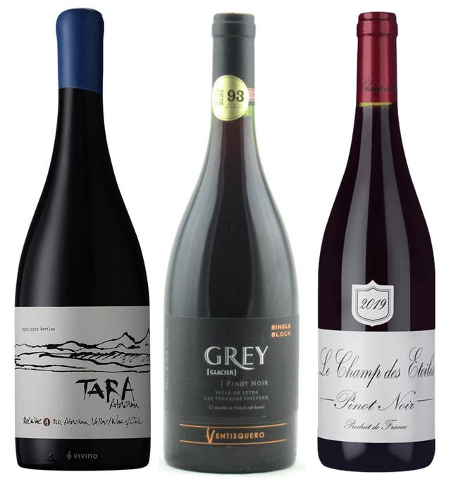 7 perfect pinots for rain or shine, summer or autumn | The Independent ...