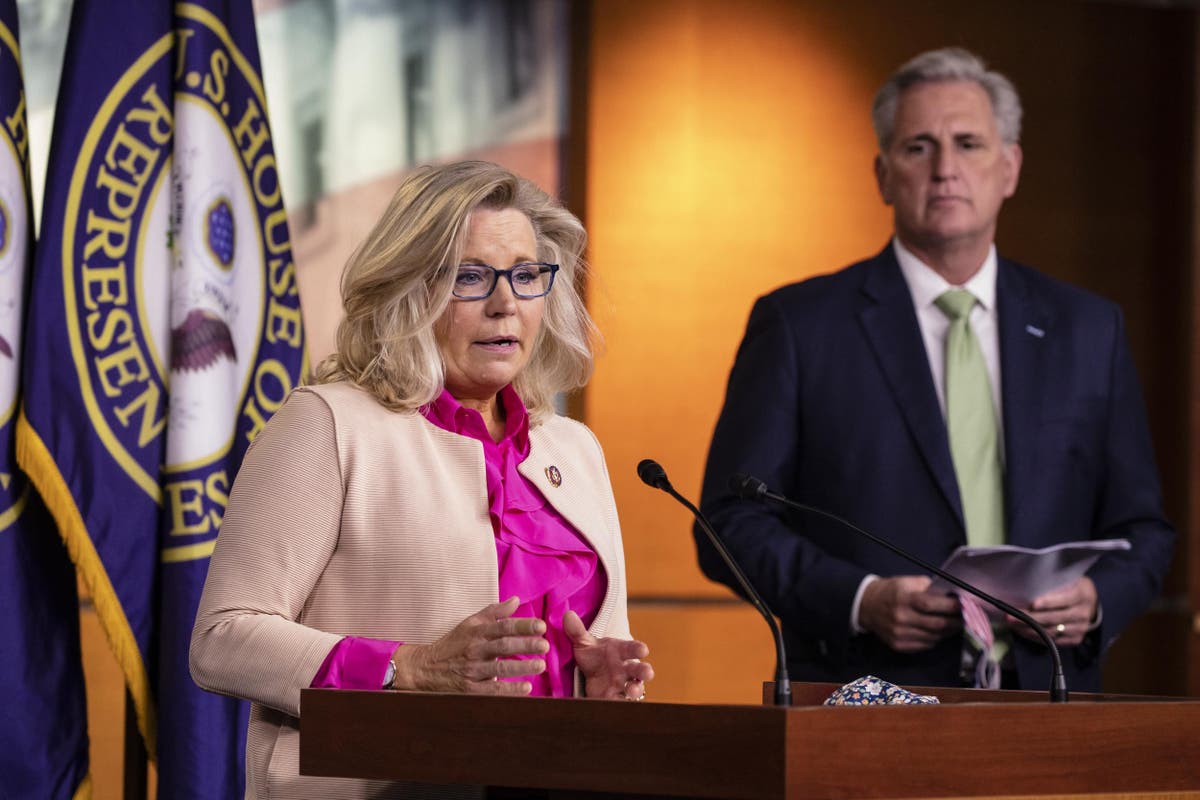 Trump joins pile-on against senior Republican Liz Cheney over ‘endless ...
