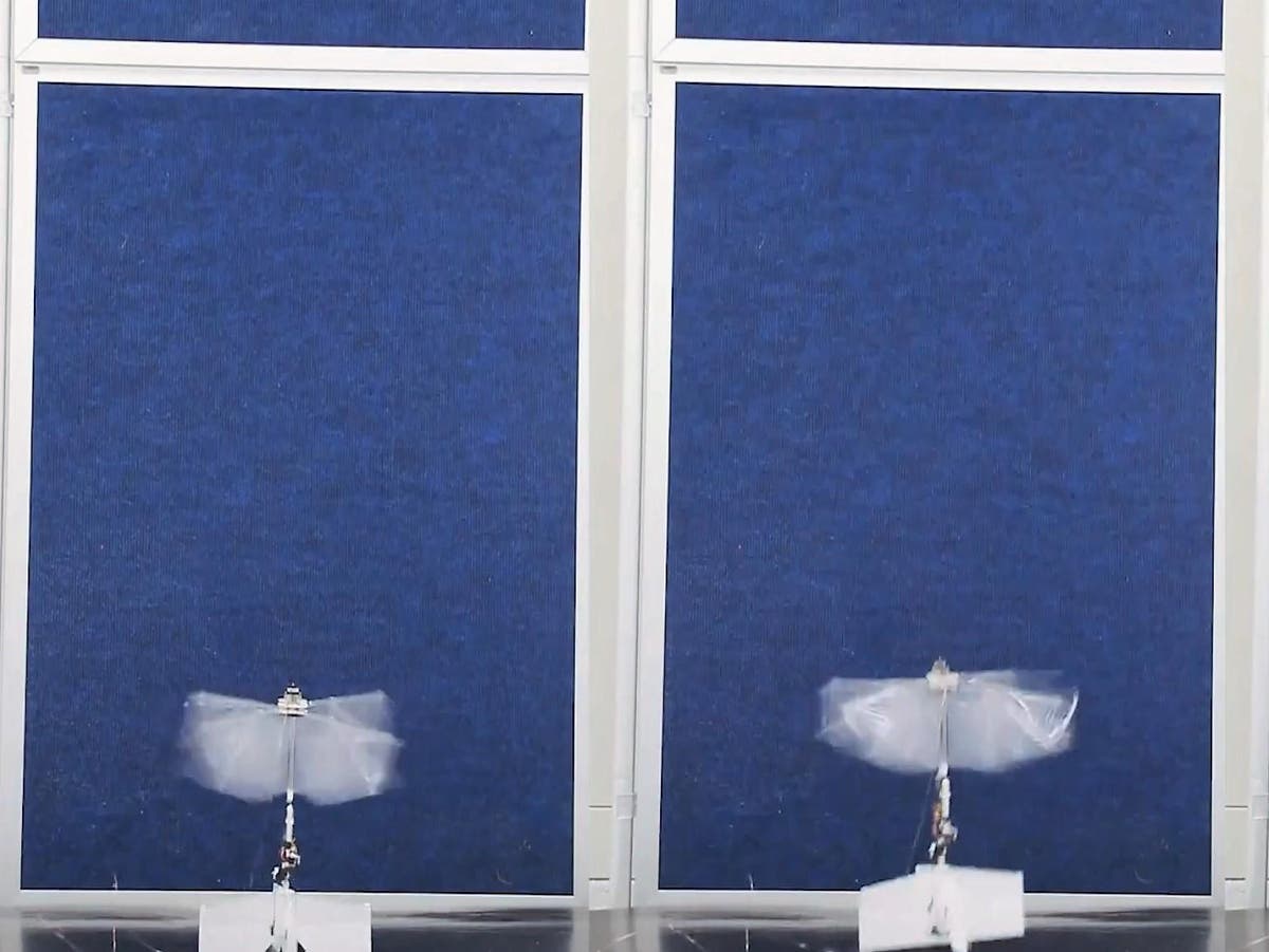 Robot drone inspired by world’s fastest bird can act as ‘paraglider ...