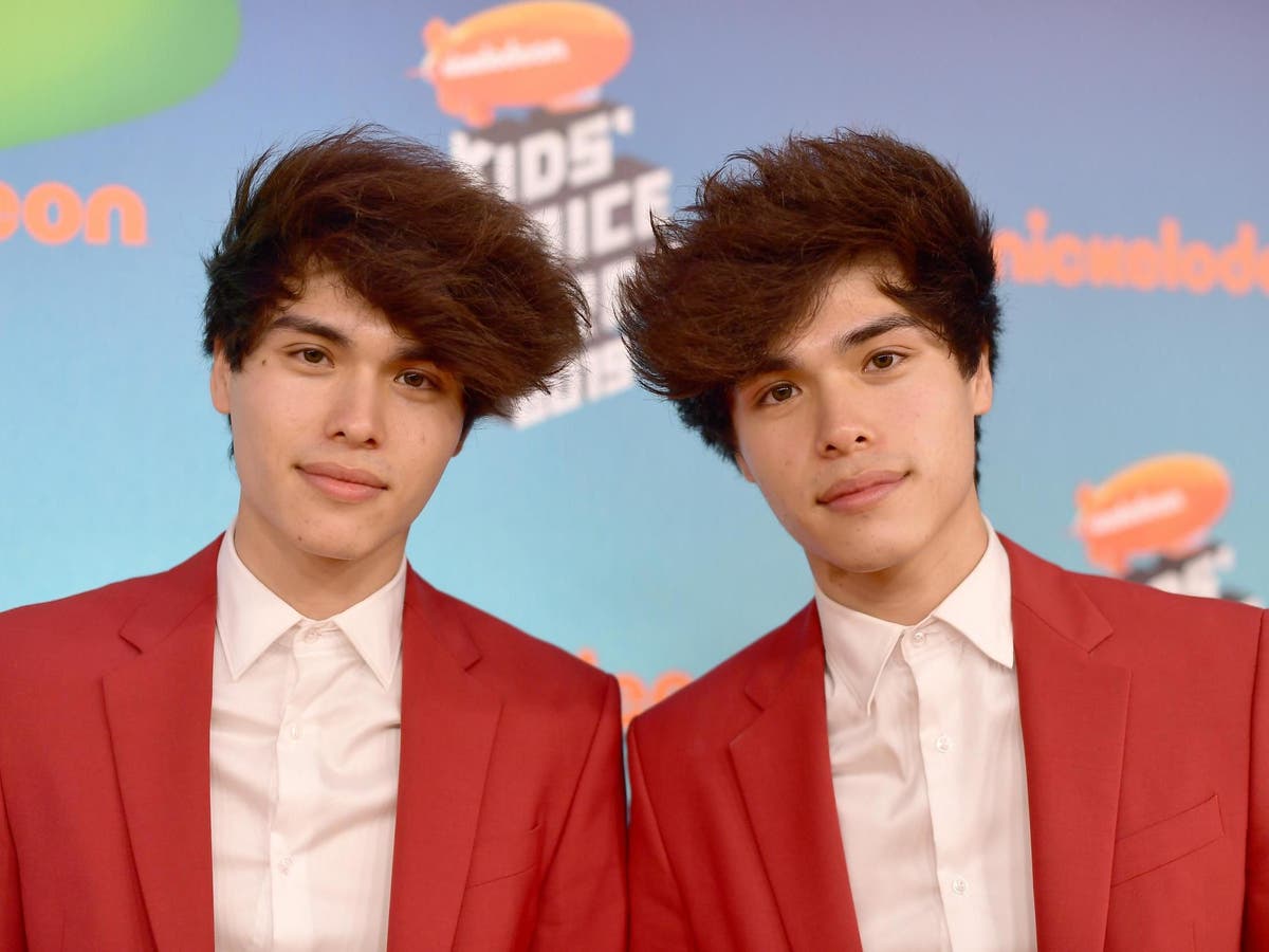 TikTok and YouTube stars Alan and Alex Stokes charged with felony after ...