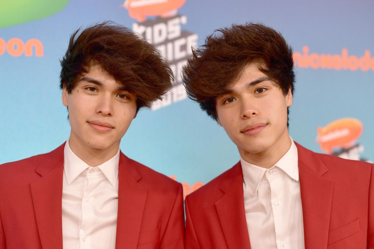 TikTok and YouTube stars Alan and Alex Stokes charged with felony after ...
