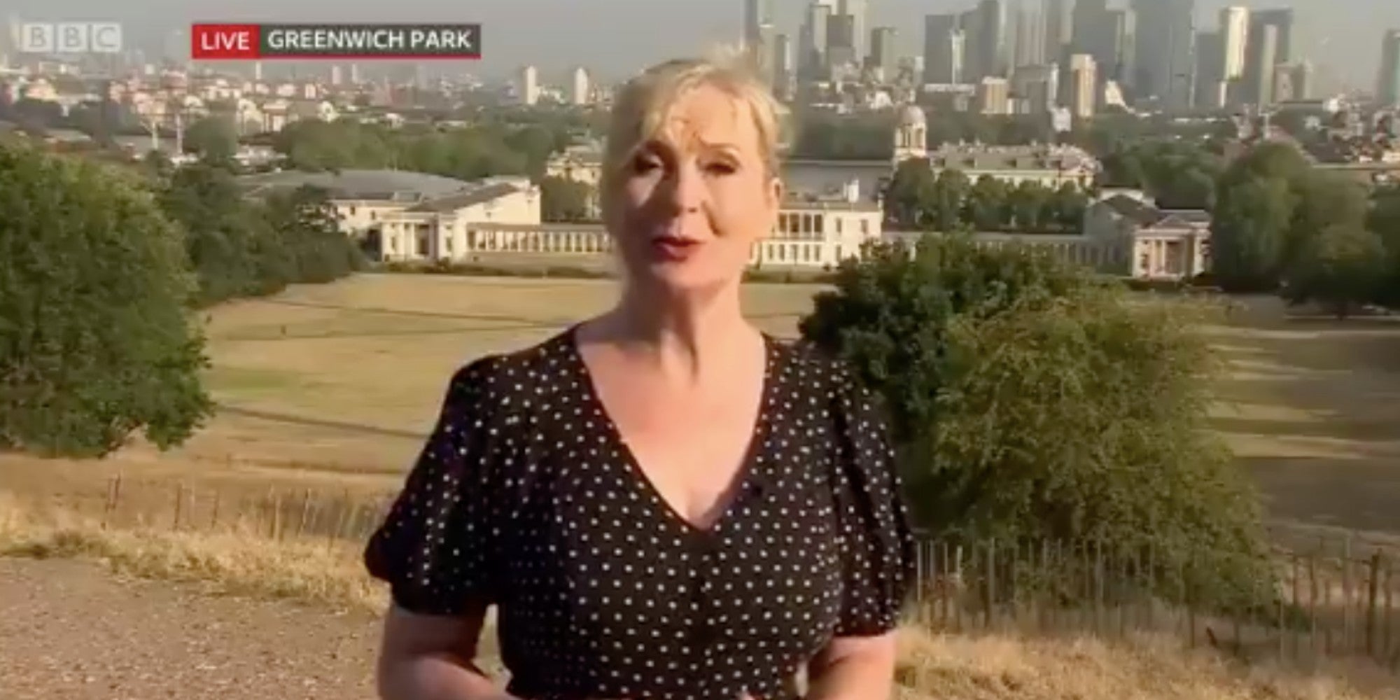 BBC weather reporter accidentally says 'doggers' on live television ...