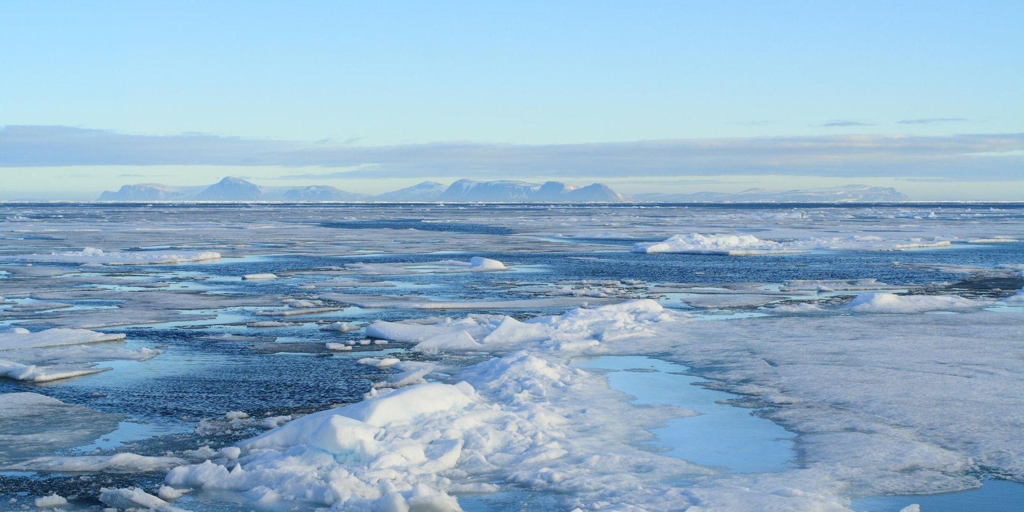 The last fully intact ice shelf in the Canadian Arctic collapsed in ...