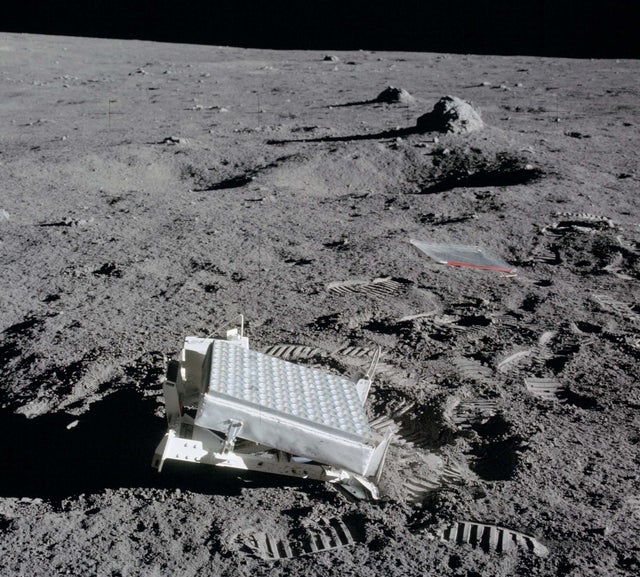 Asher Elbein | The Independent