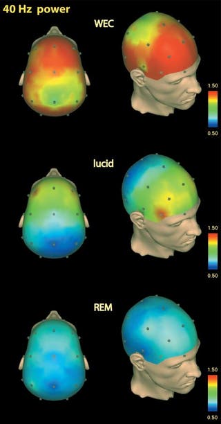 Lucid dream startup says people can work in their sleep | The Independent